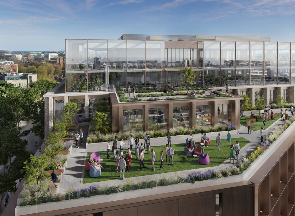 Adelaide Road Office Project | Plus Architecture